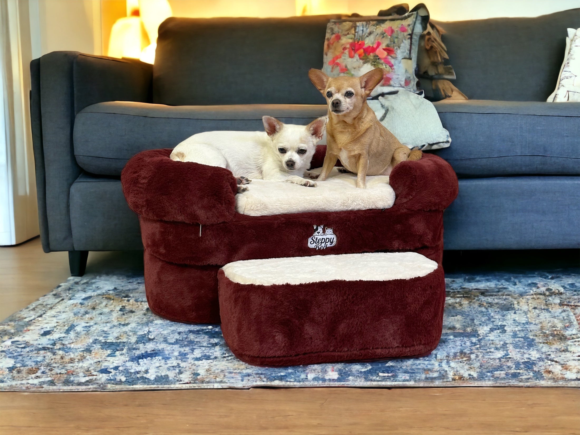 Buddy Lounger – Steppy Bed