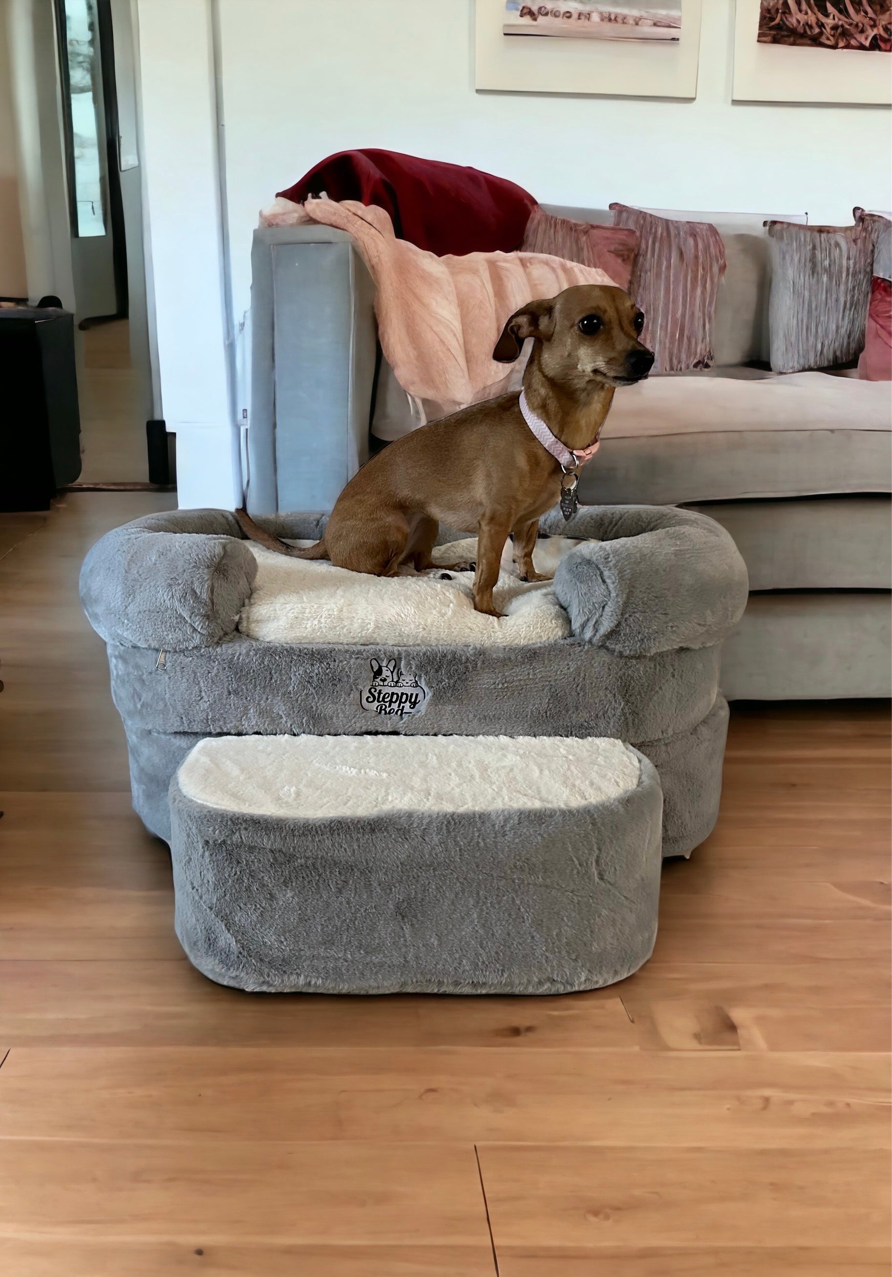 Buddy Lounger – Steppy Bed