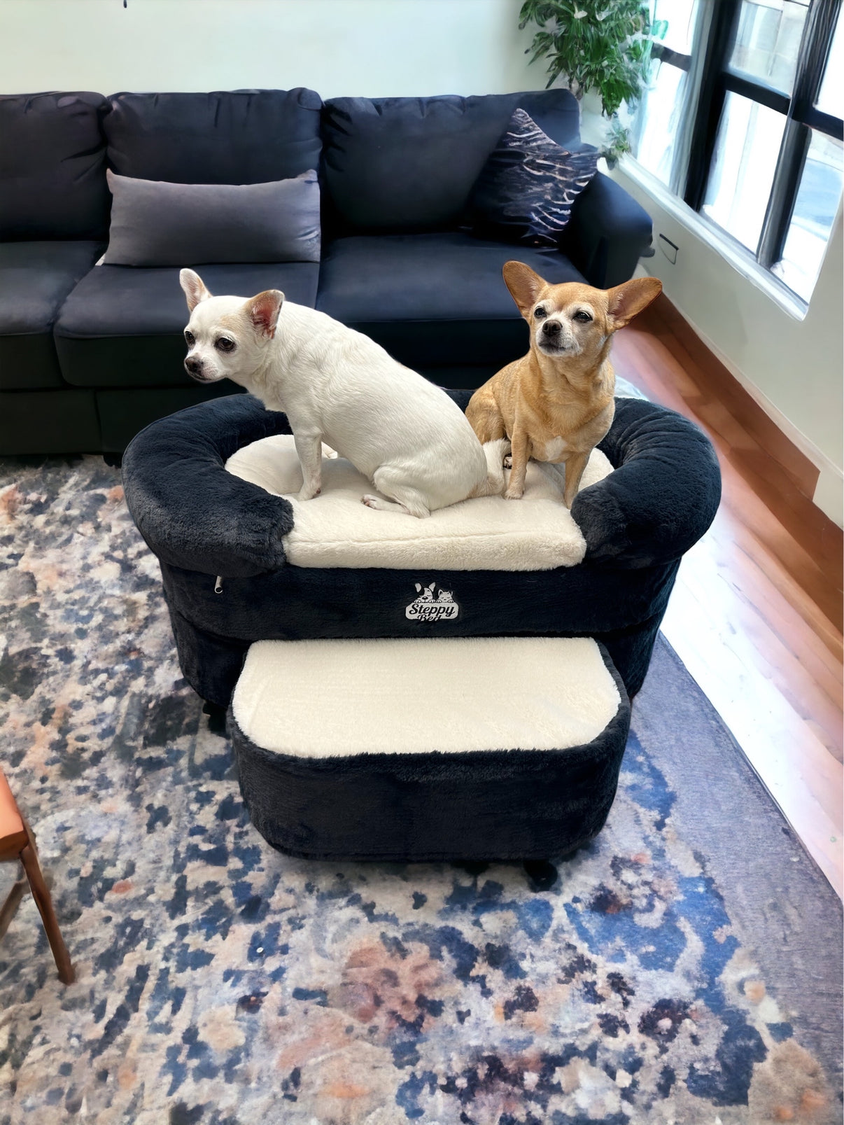 Buddy Lounger – Steppy Bed