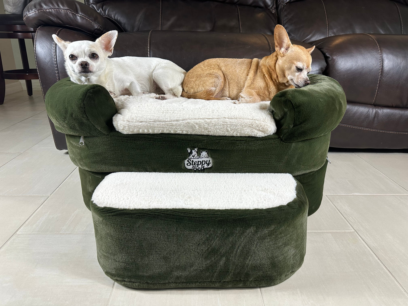 Buddy Lounger – Steppy Bed
