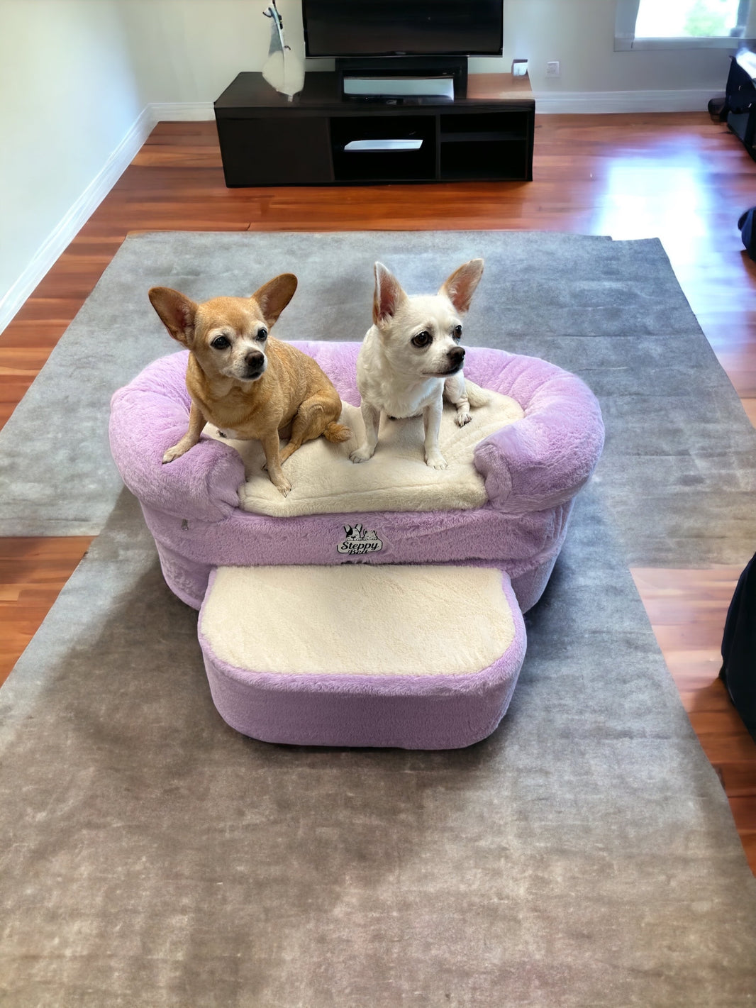Products – Steppy Bed