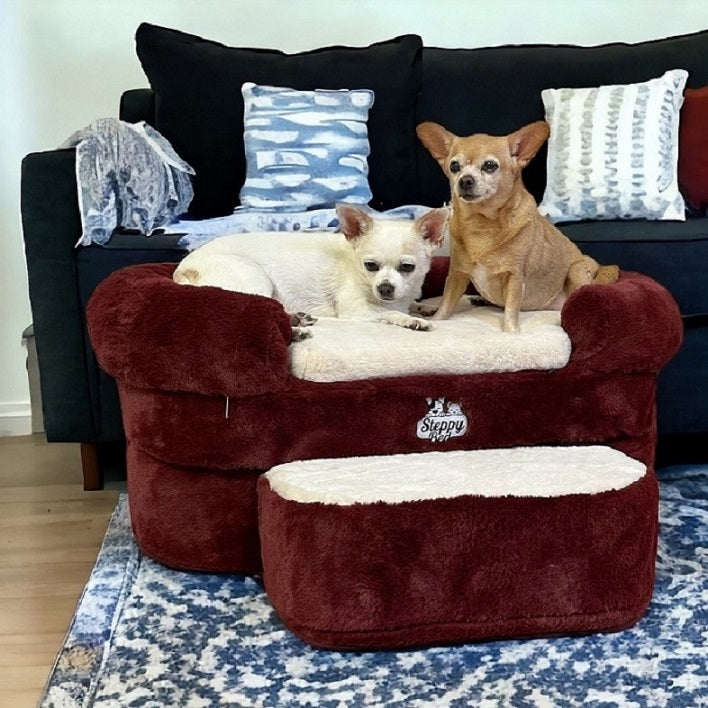 Dog Stairs, Steps & Beds | Steppy Bed – Pet Steps & Perches